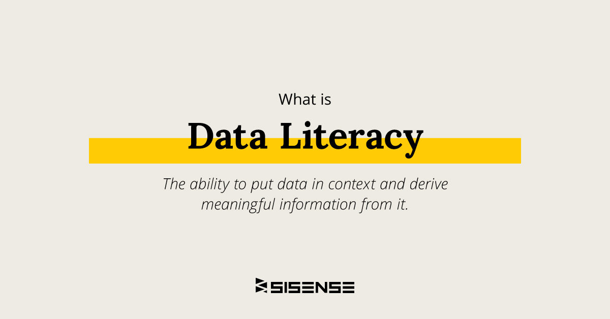 Data Literacy Defined Sisense