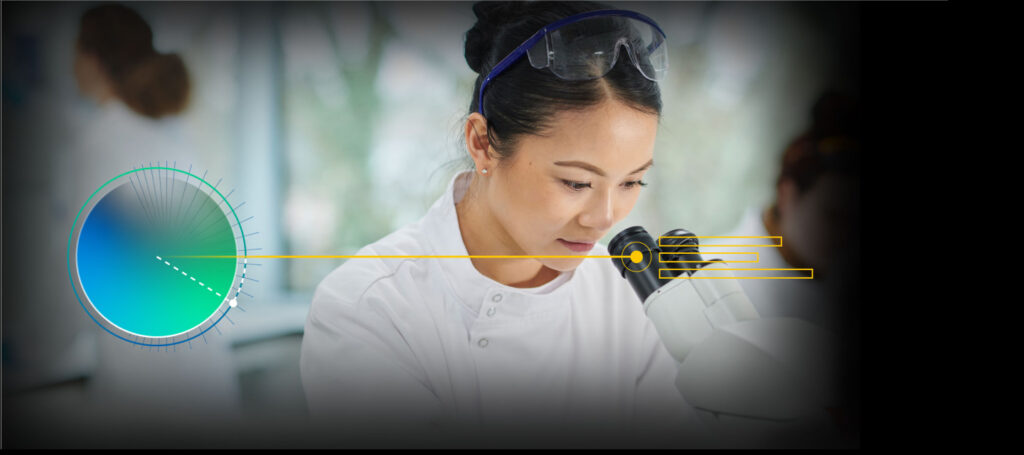 Sisense Case Studies: How Businesses Thrive with Data